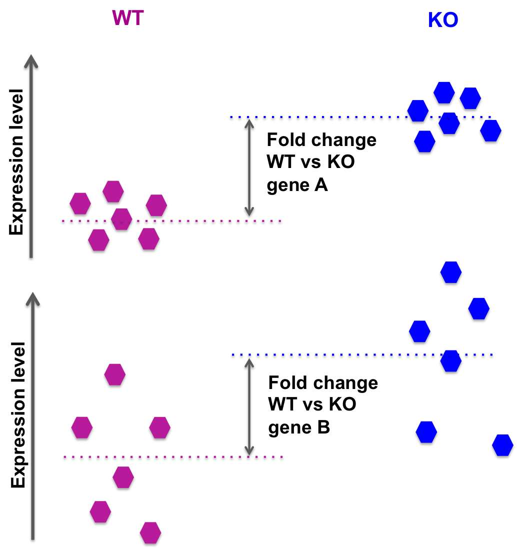 Differential Gene Expression